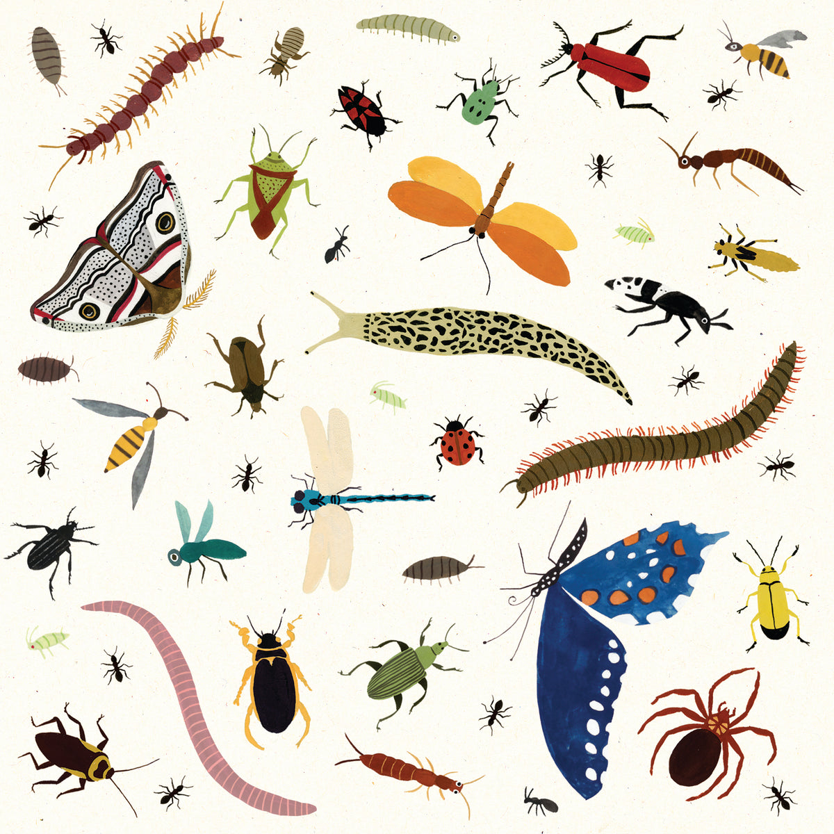 Mini-beast Drawing Competition – Rye Books